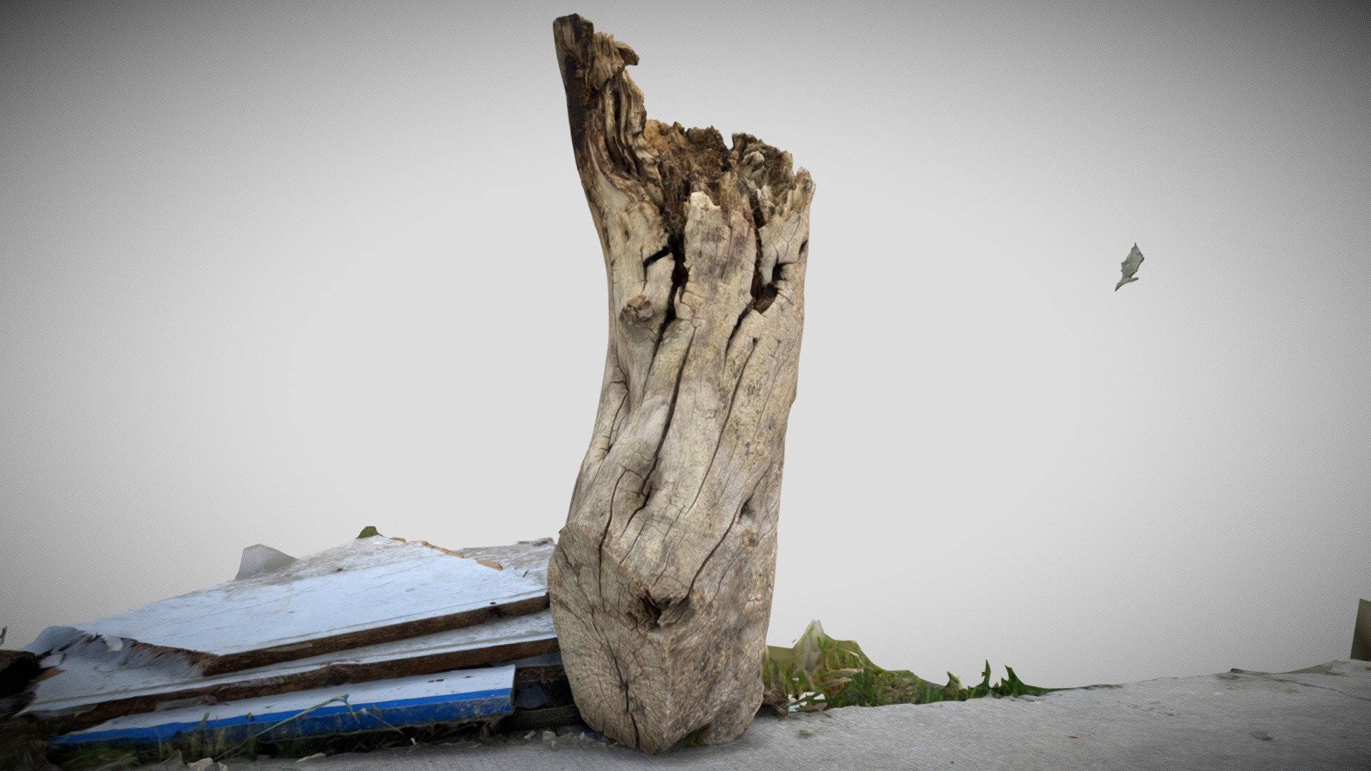 Wood Log - Download Free 3D model by Ergin ERYILDIR (@ergin3d.com ...