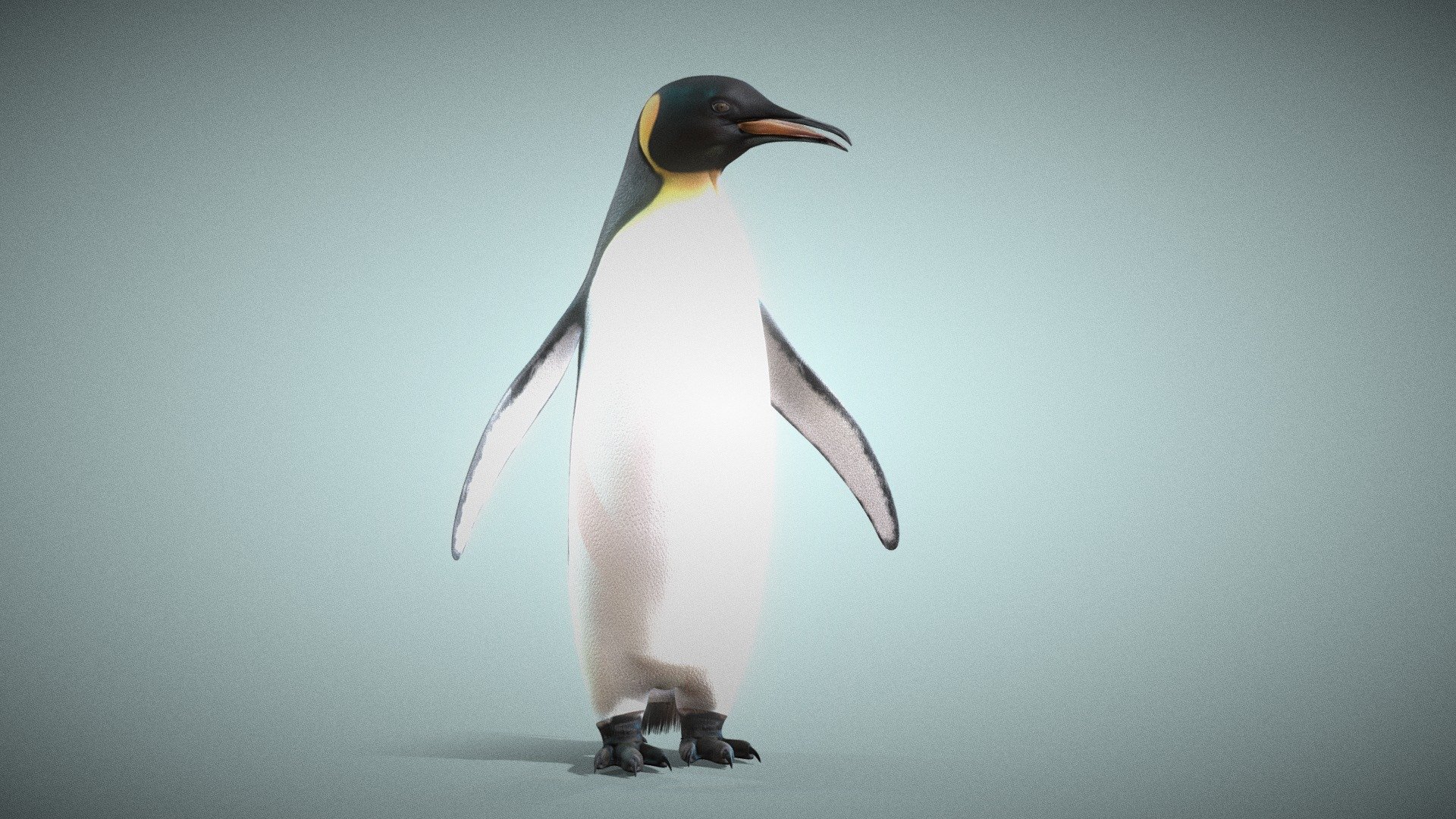 King penguin (Aptenodytes patagonicus) - 3D model by Major (@majorgalah ...