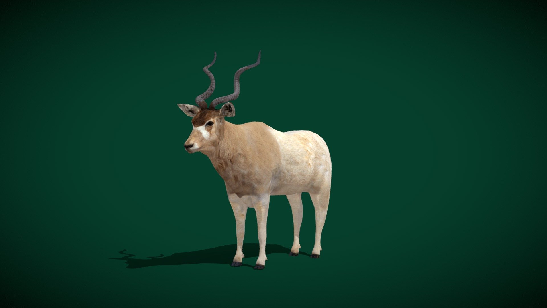 Addax Antelope Animal (Endangered) - Buy Royalty Free 3D model by ...