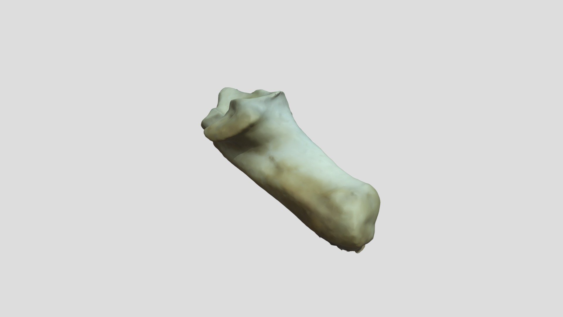 Sheep Calcaneus - Side 1 - 3D model by JeromeDouglas [ce1886a] - Sketchfab