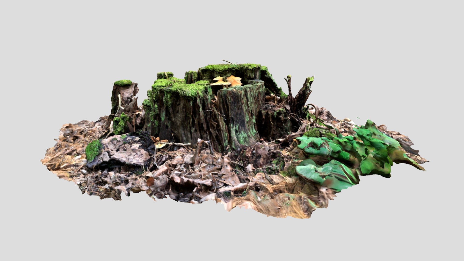 Stump with moss and mushrooms - 3D model by alesya3d [ce1a154] - Sketchfab