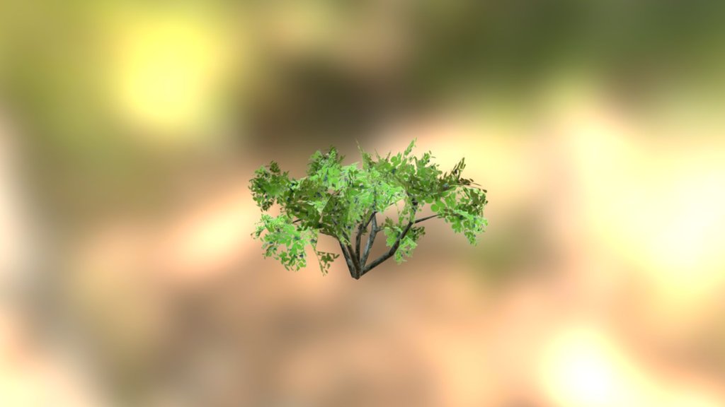 Blue Berry Bush - 3D model by cronicash [ce258a7] - Sketchfab