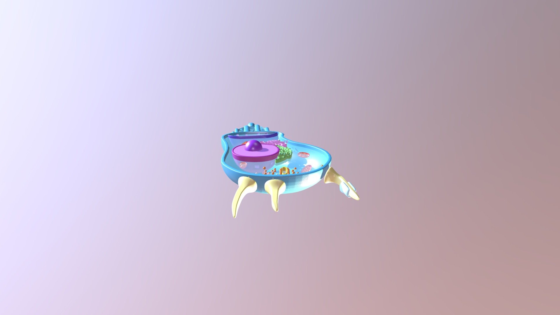 Inner Hair Cell - 3D model by kj6420 [ce2c086] - Sketchfab