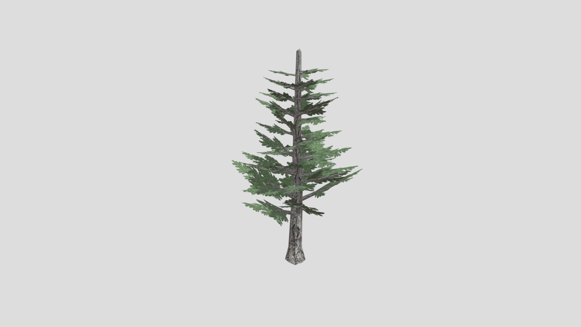 tree_test_1 - 3D model by Jacob Wasillkoff (@Jacob.vfx) [ce323fe ...