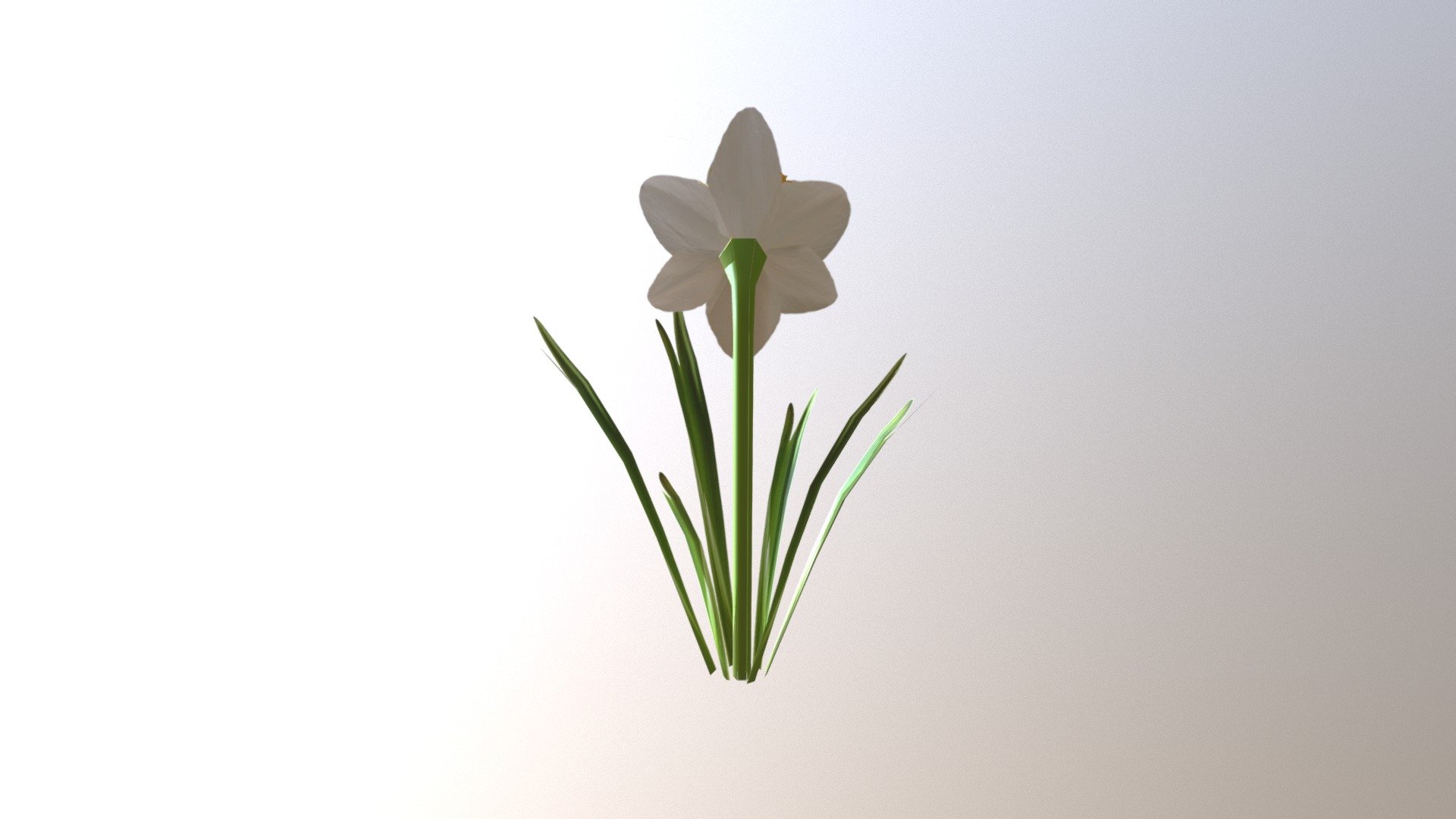 Daffodil - 3D model by Rhyanan Key (@UnmeiGirl) [ce33aaa] - Sketchfab