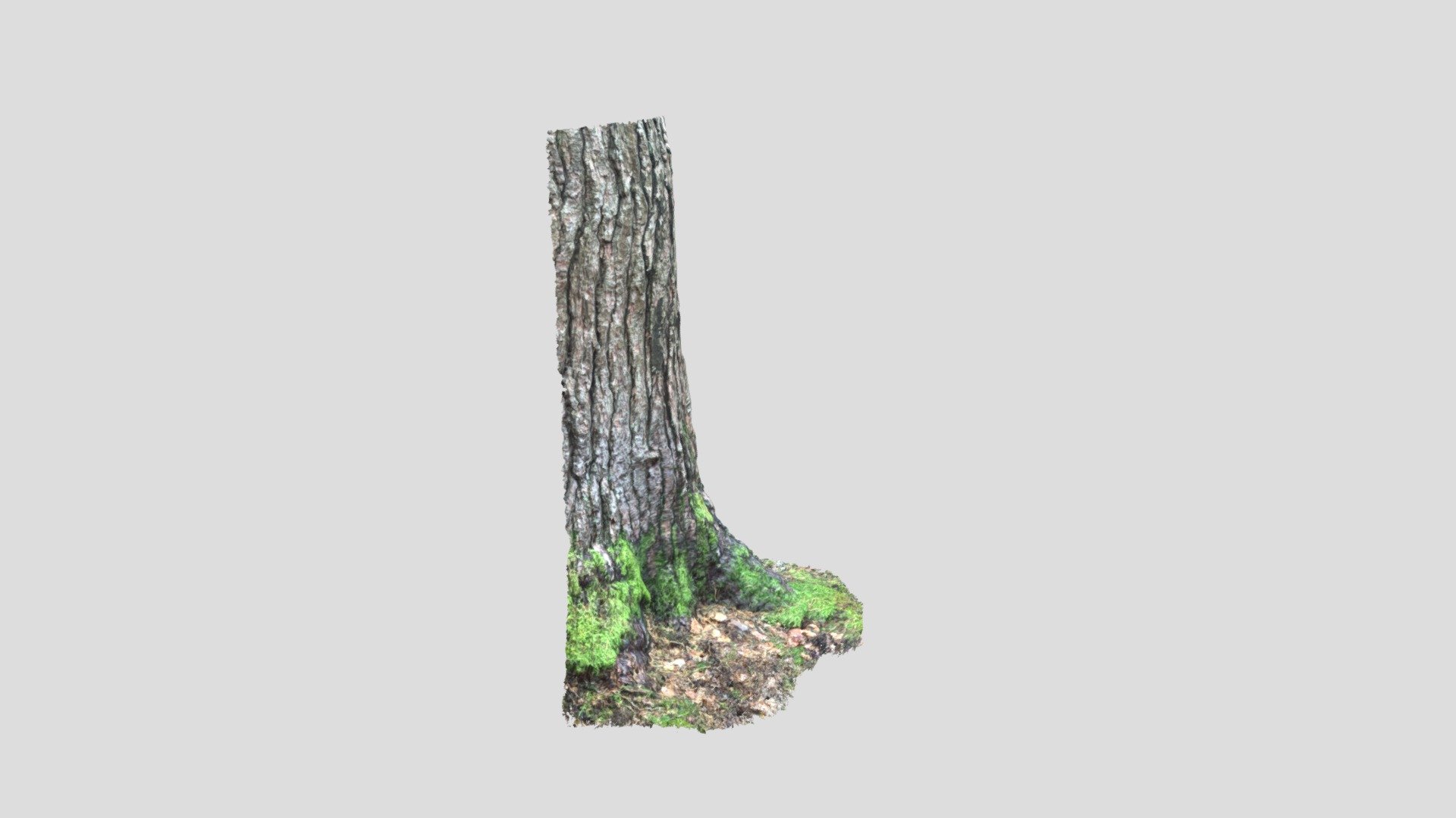 Tree (one side only) - 3D model by yaydesign [ce35830] - Sketchfab