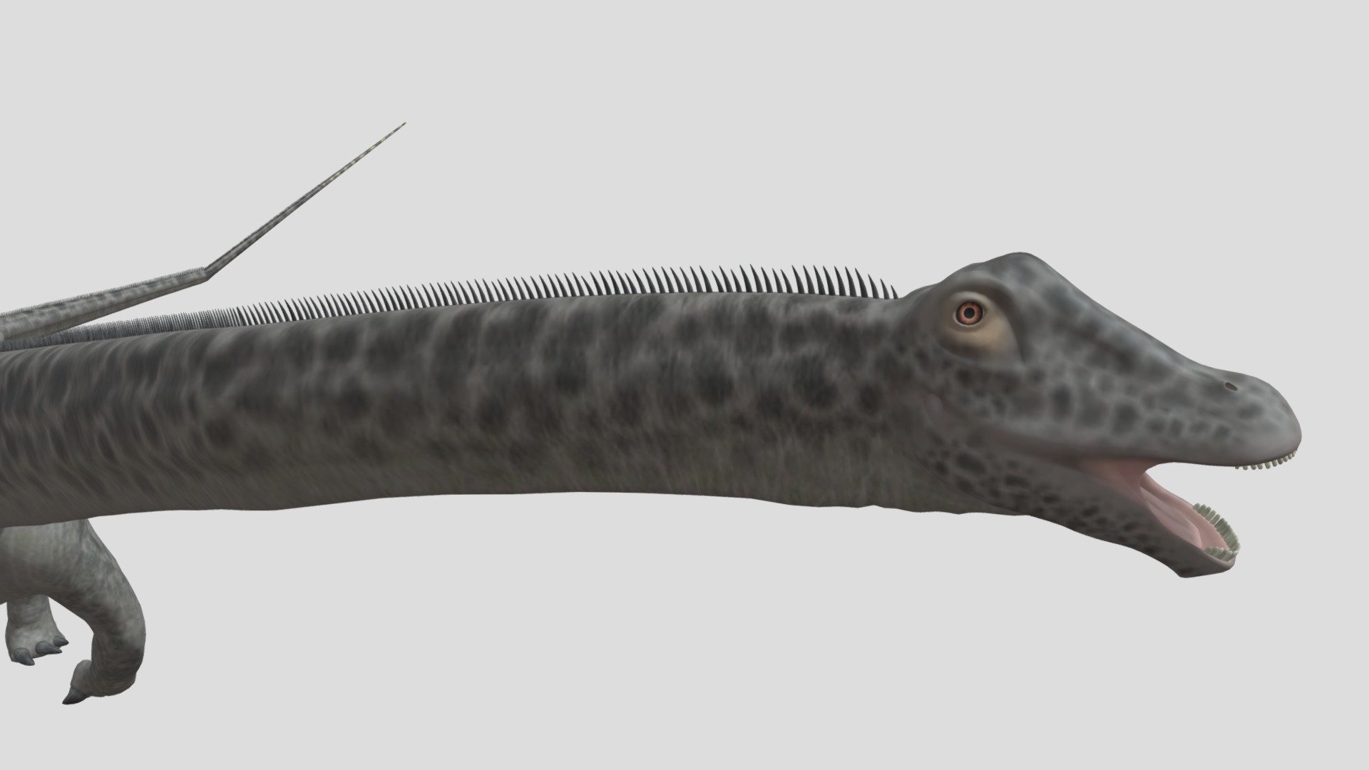 diplodocus - Download Free 3D model by seth the yutyrannus ...