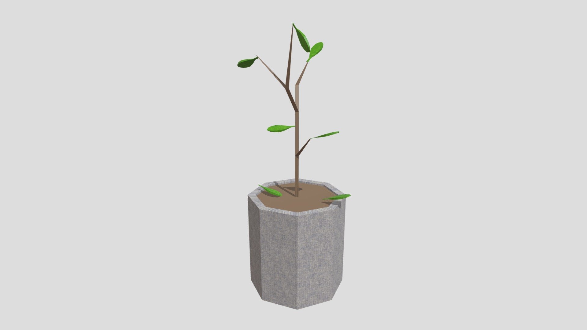 plant - Download Free 3D model by xoesmond [ce4086d] - Sketchfab