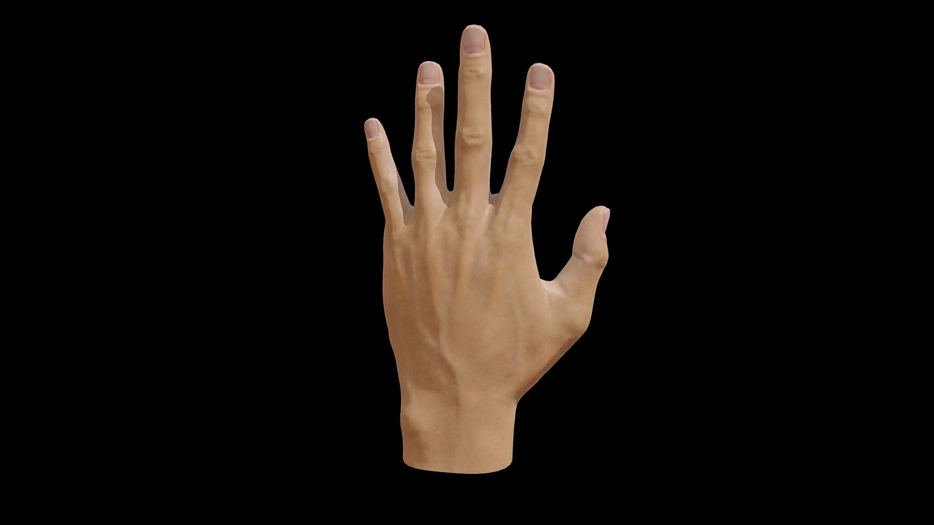 BasicHand - Download Free 3D model by Alessandro Zanetti (@Alessandro80 ...
