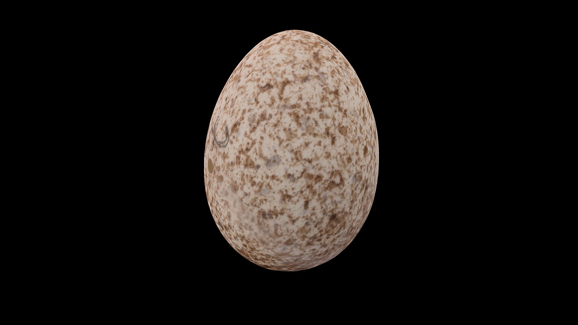 Model 107 - Cowbird egg - Visual Spectrum - Download Free 3D model by ...
