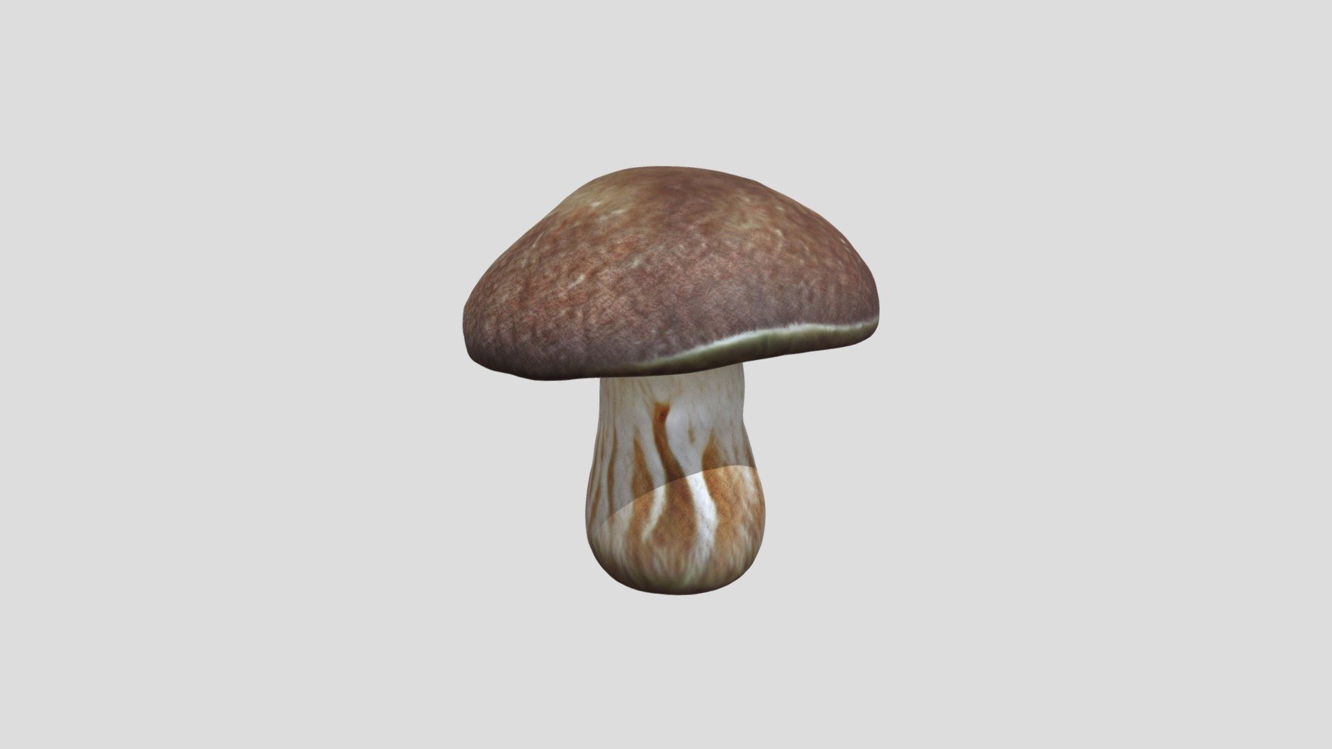 Realistic_mushroom - Download Free 3D model by multispets [ce4f161 ...