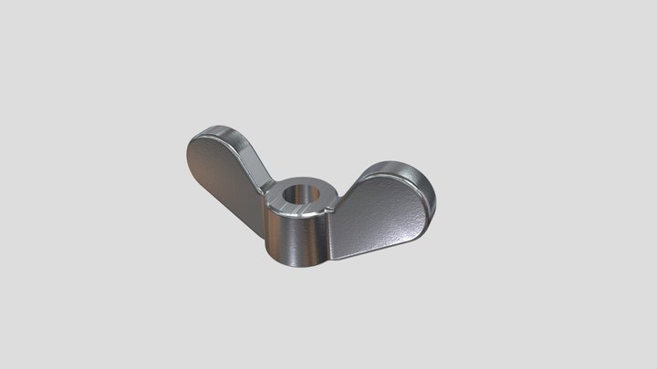 Wingnut 3D models - Sketchfab