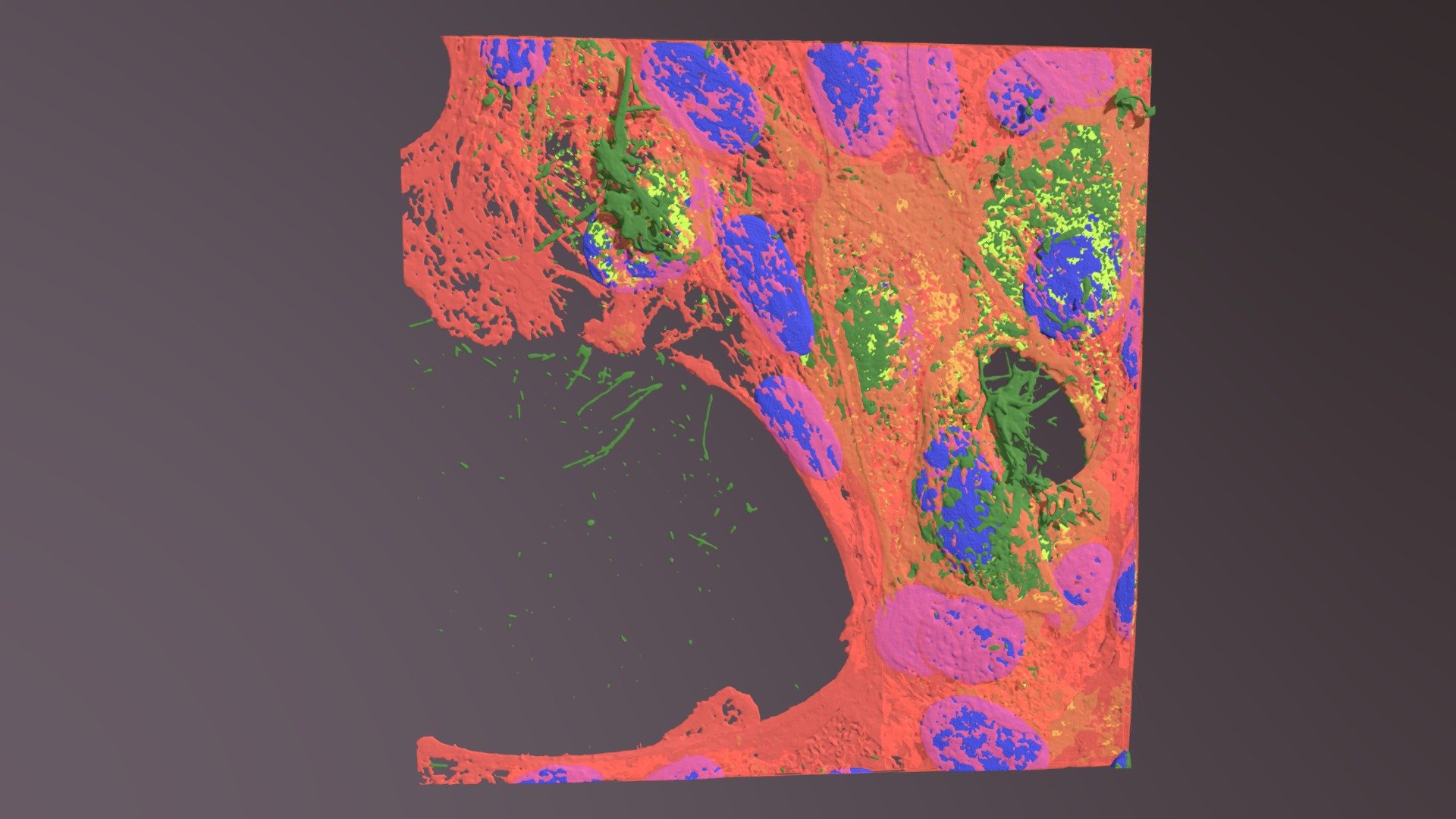 Cells infected with Influenza Virus - 3D model by XR Life Science (@GLS ...