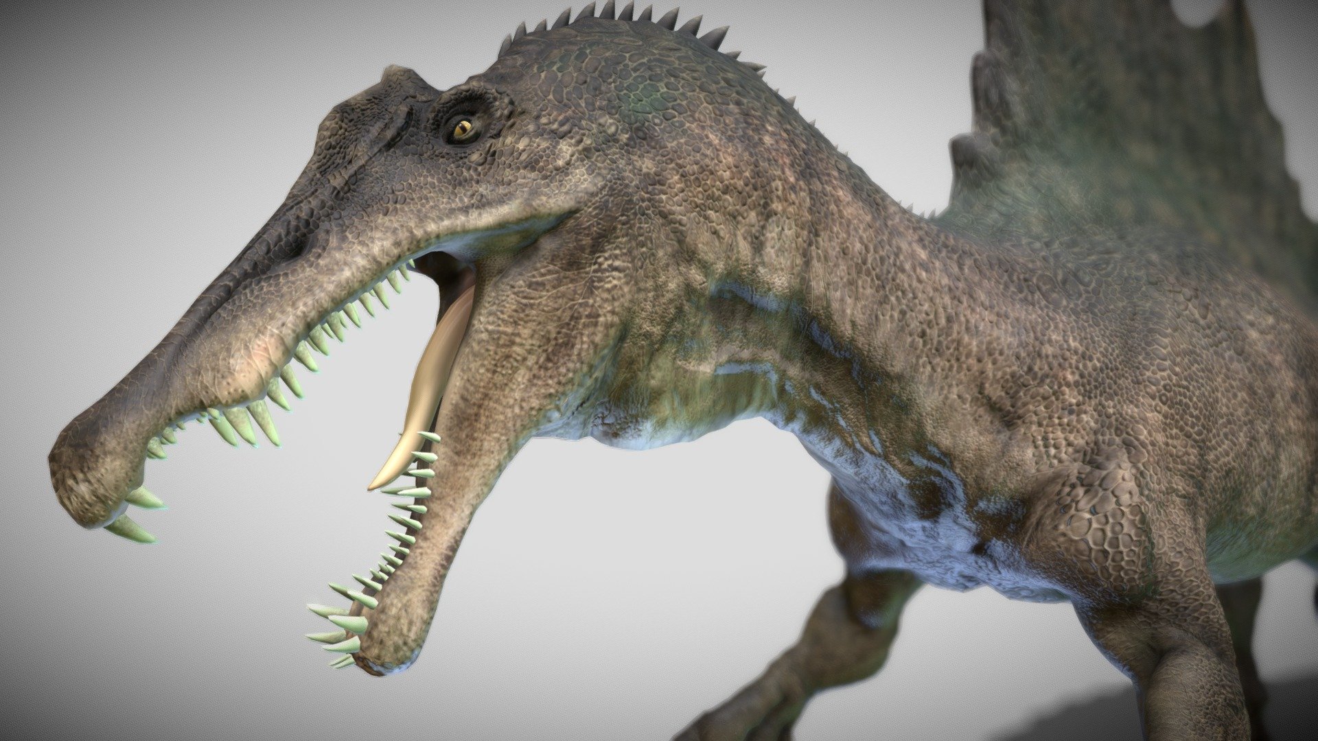 Spinosaurus - Buy Royalty Free 3D model by robertfabiani [ce5bccc ...