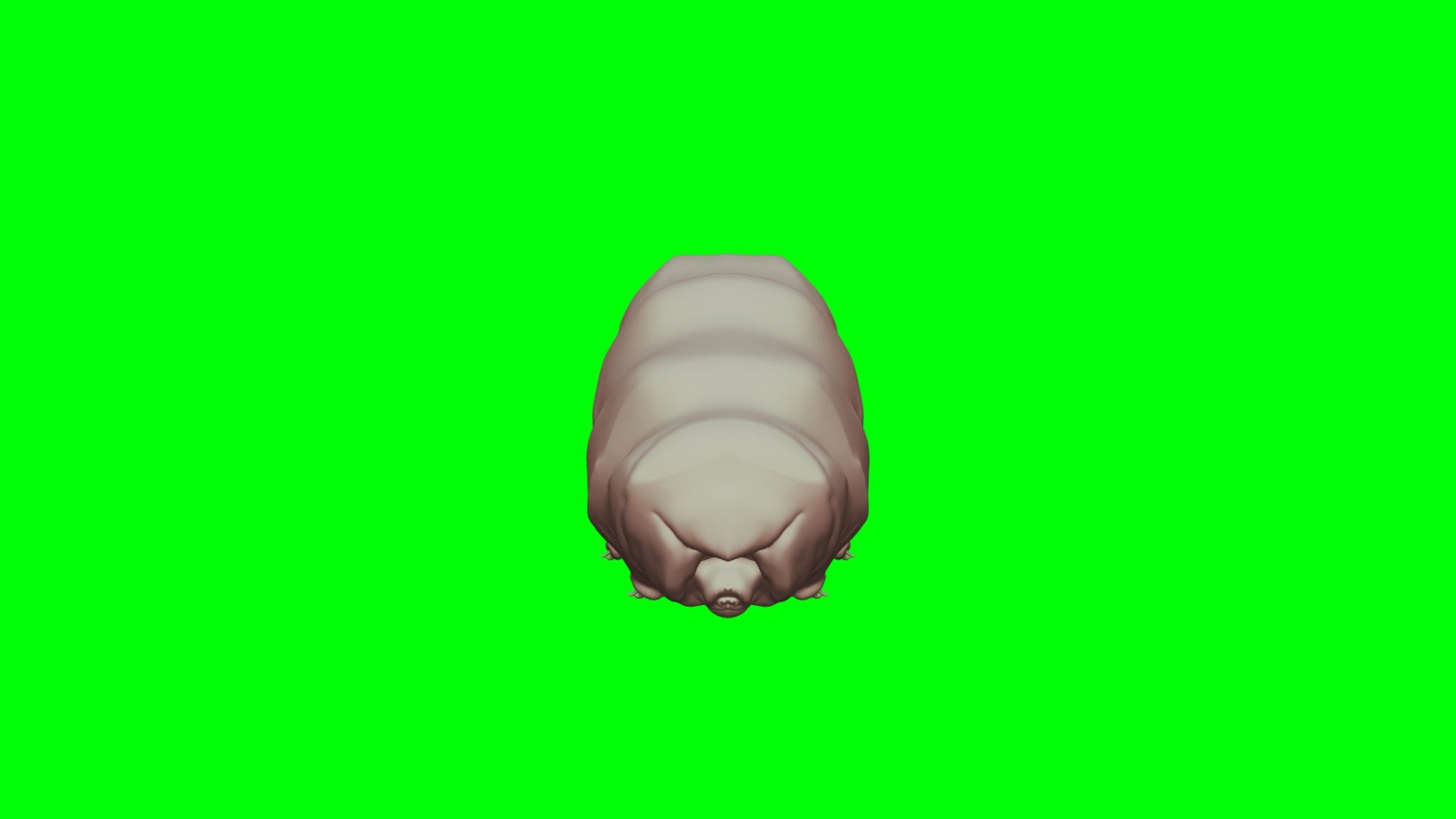 Water-bear - 3D model by Moises D Sanabria (@moisesdsanabria) [ce5e21a ...