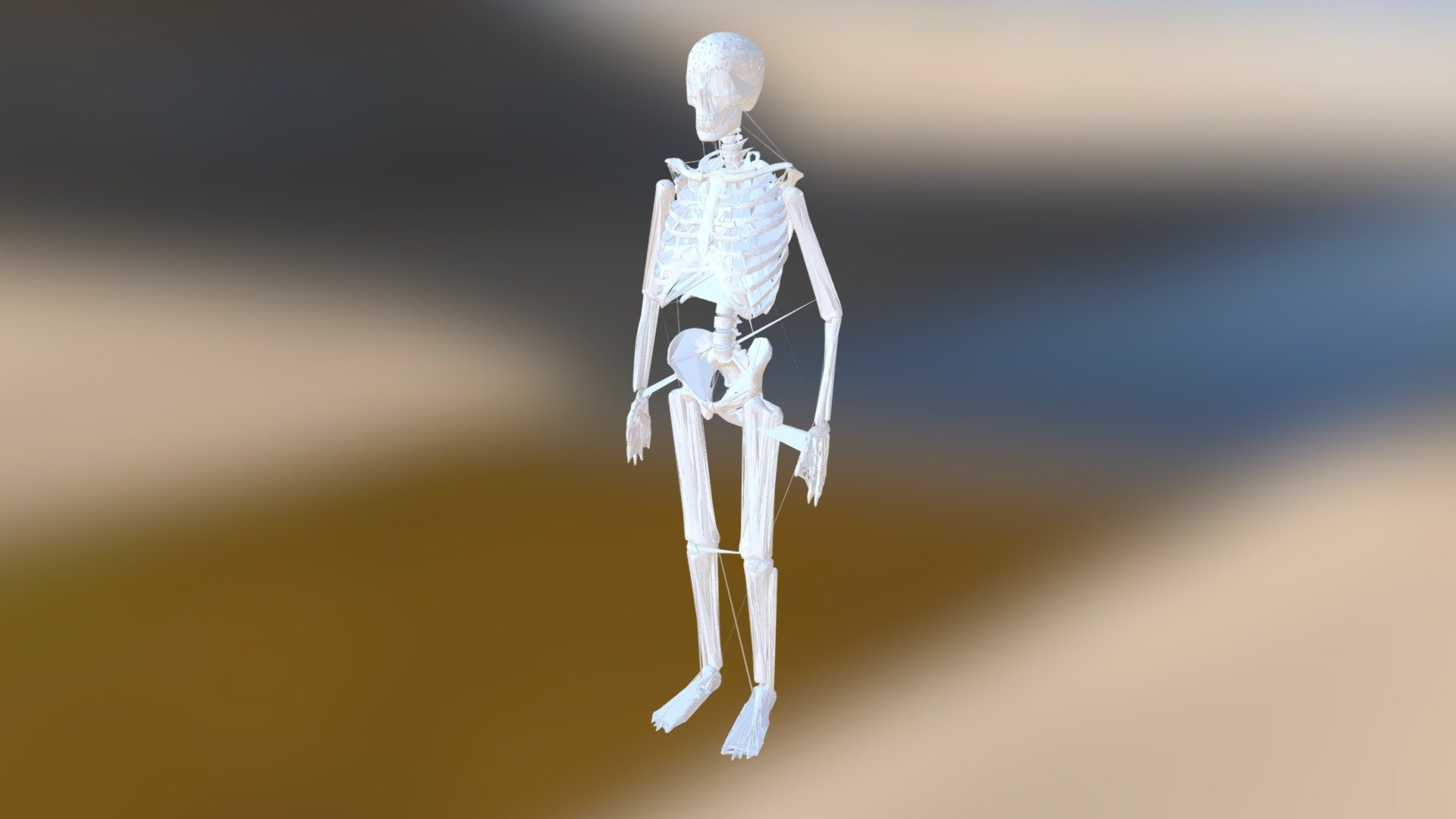 Glitched_Skeleton - Download Free 3D model by aaronhayes [ce60643 ...