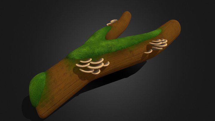Streamer 3D models - Sketchfab