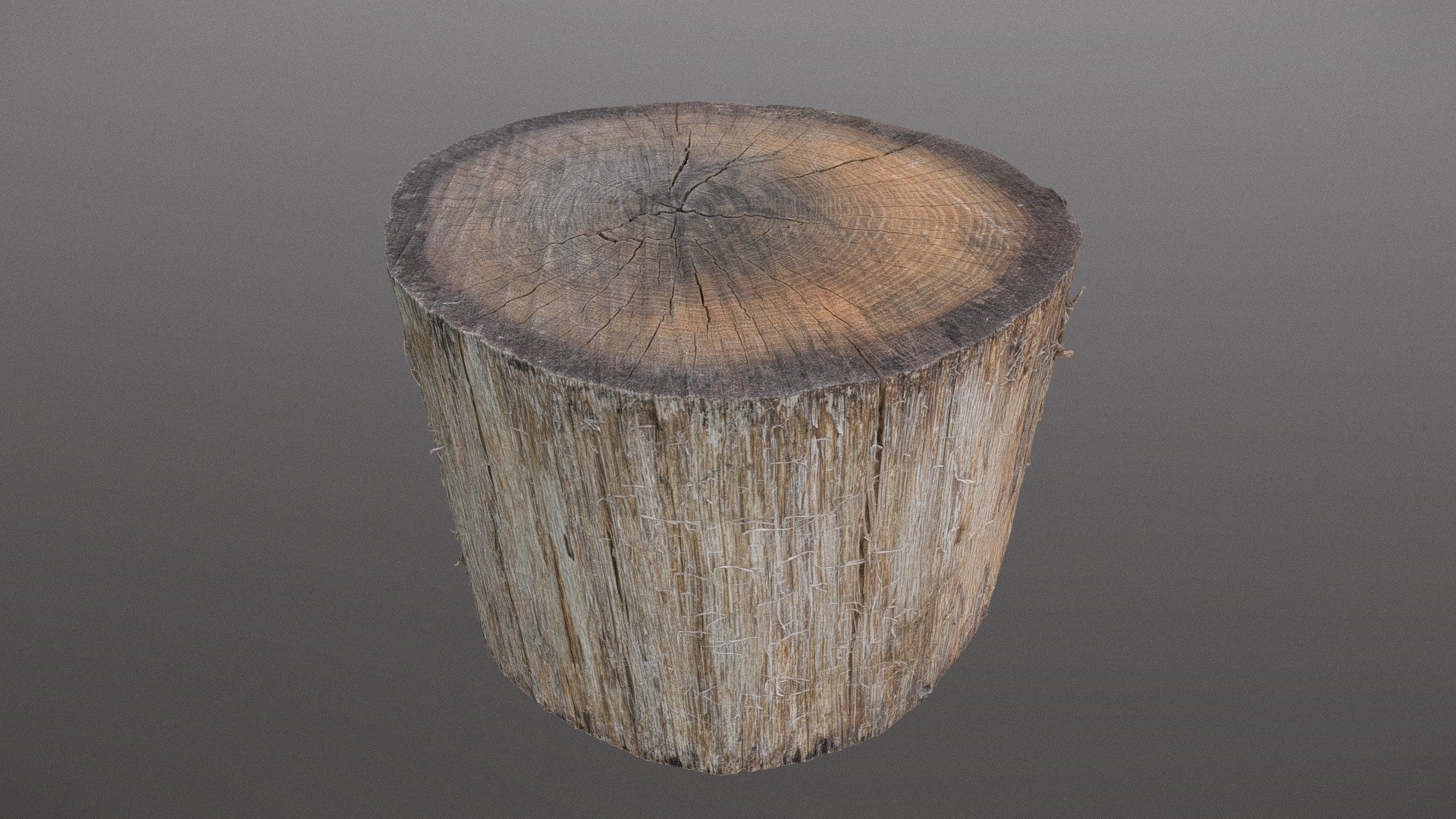 Old spruce log - Buy Royalty Free 3D model by axonite [ce7027f ...