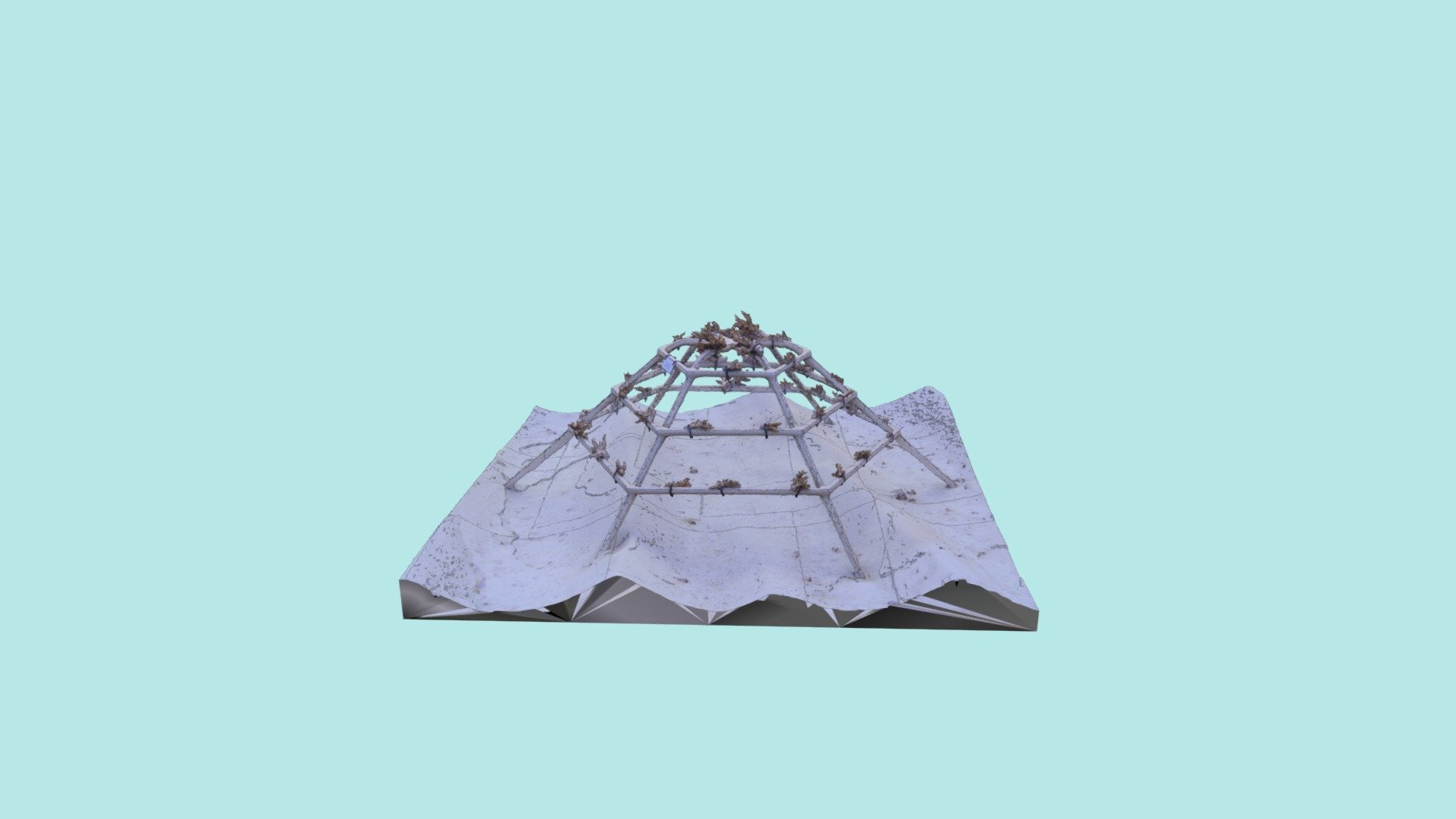 Coral Frame- Just Planted - 3D model by PrestonMcMahon [ce72ba1 ...