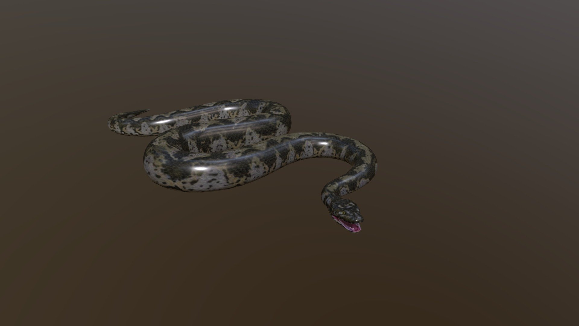Snake Titanoboa by Dino Raul - Download Free 3D model by kenchoo ...