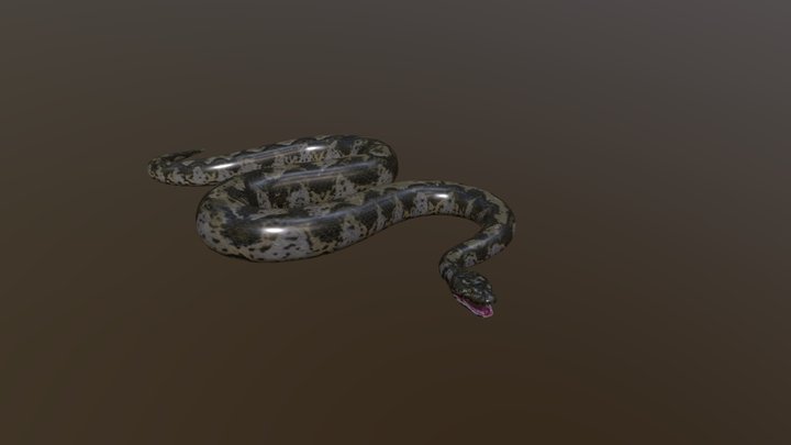 Snake 3D models - Sketchfab