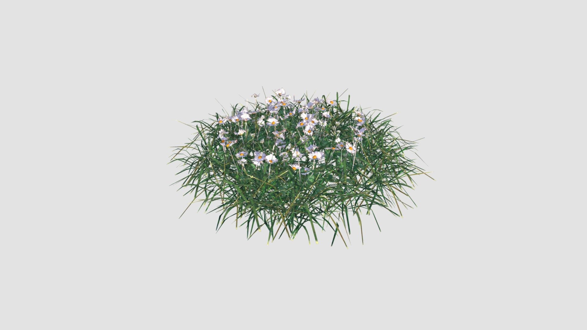 simple grass medium - Buy Royalty Free 3D model by Evermotion [ce93788 ...