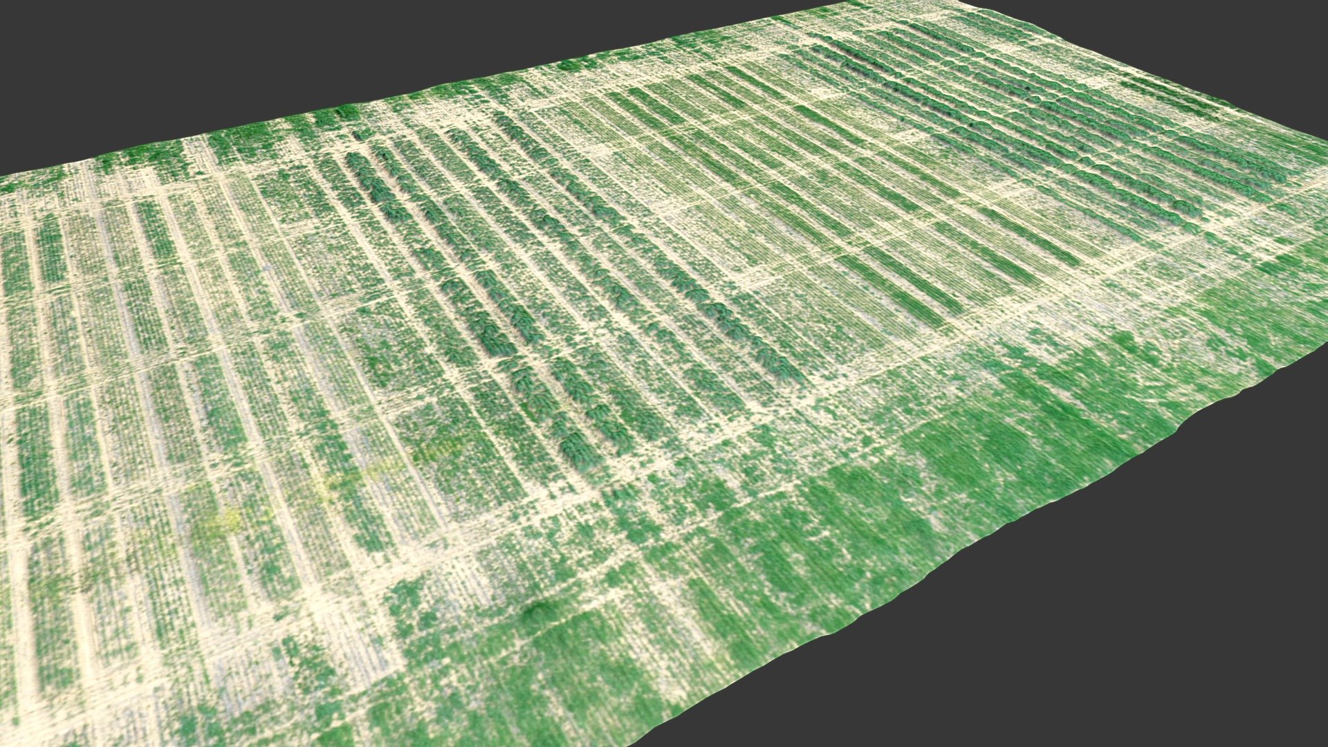 Grain Legume Extension Central Mallee 2021 - 3D model by Agriknow ...