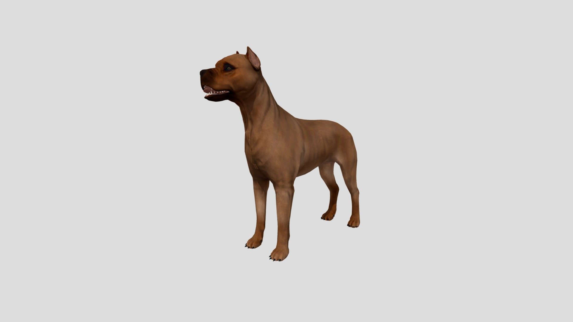 PitBull - Download Free 3D model by Joseph AYYAD (@Joseph.AD) [ce9be0f ...