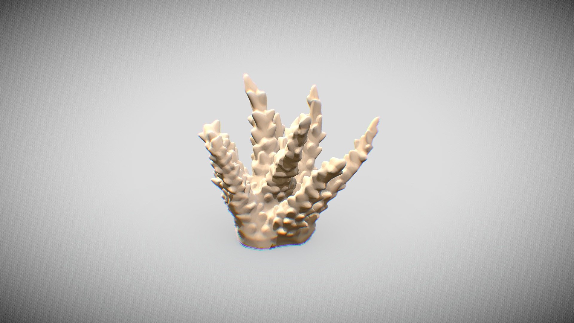 Coral Acropora Loripes - 3D model by Hypercomf [ce9dd27] - Sketchfab