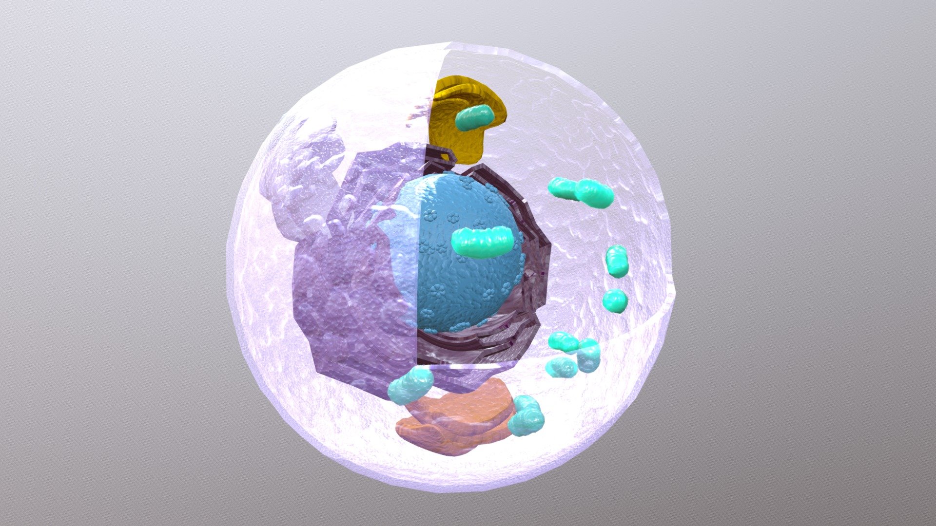 Inner Cell Sketchfab TEST_v1 - 3D model by Molrod [cea2f9a] - Sketchfab