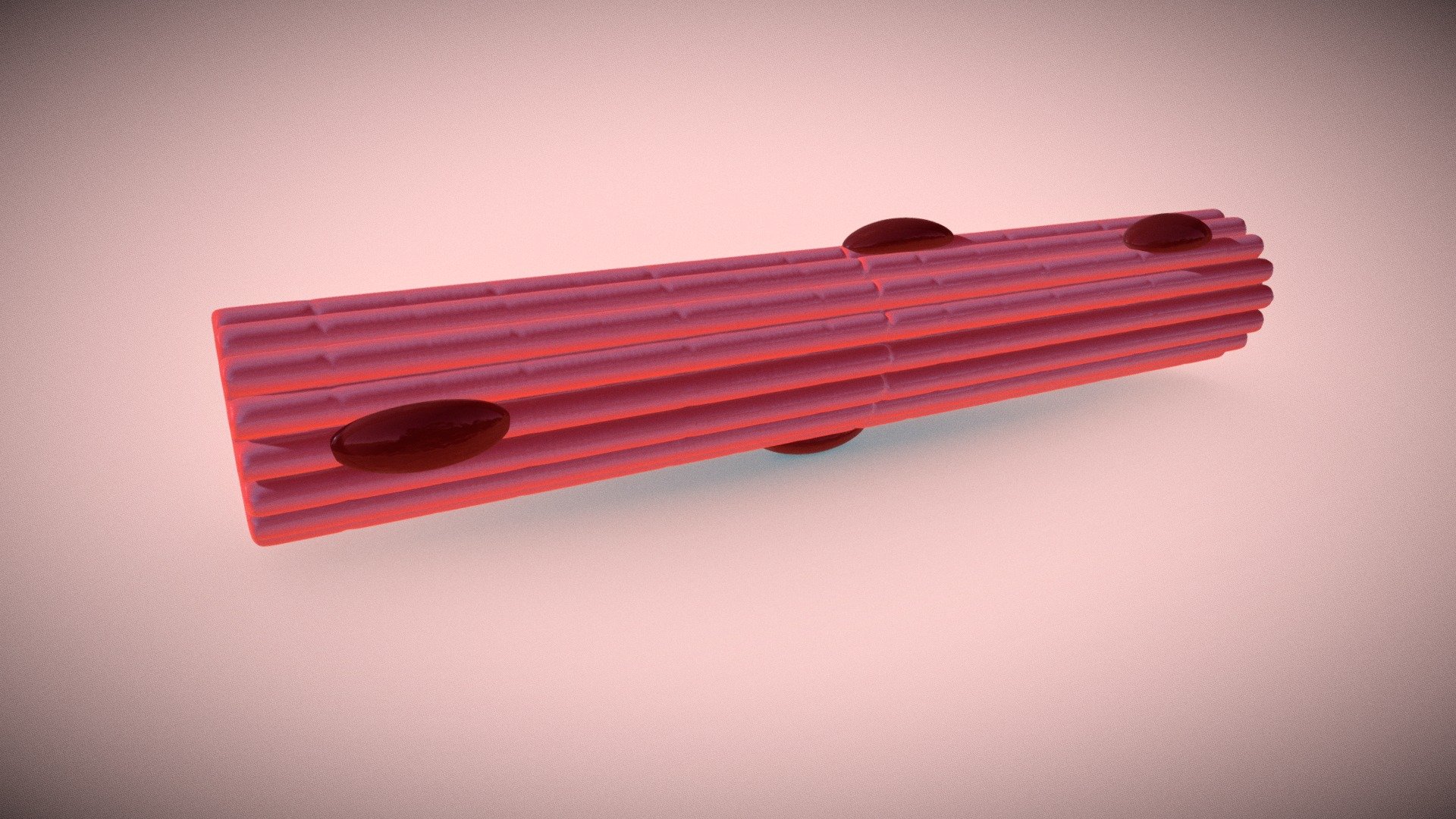 Skeletal Muscle Cell Buy Royalty Free 3D Model By PARSONSARTS