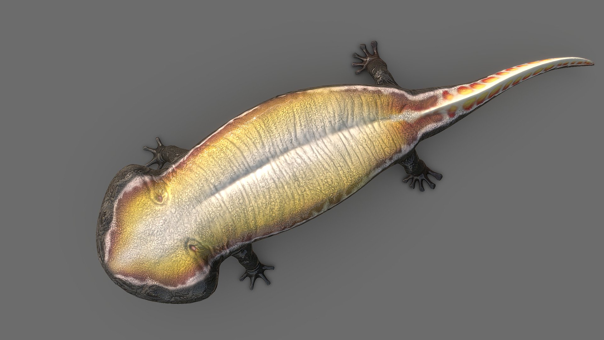 Koolasuchus - Buy Royalty Free 3D model by RickStikkelorum (@ricksticky ...