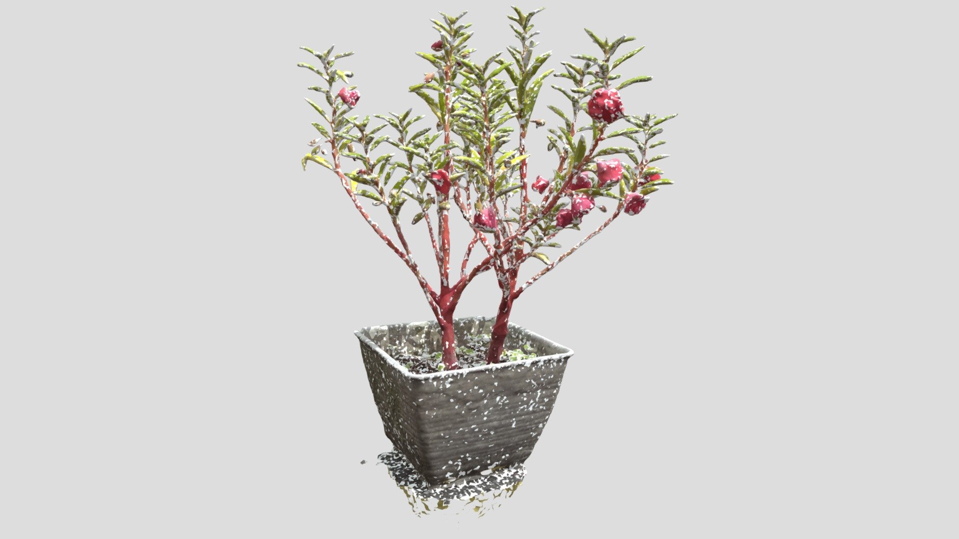 Flower - 3D model by Dika Everyday2 (@dikaeveryday2) [cec2c74] - Sketchfab