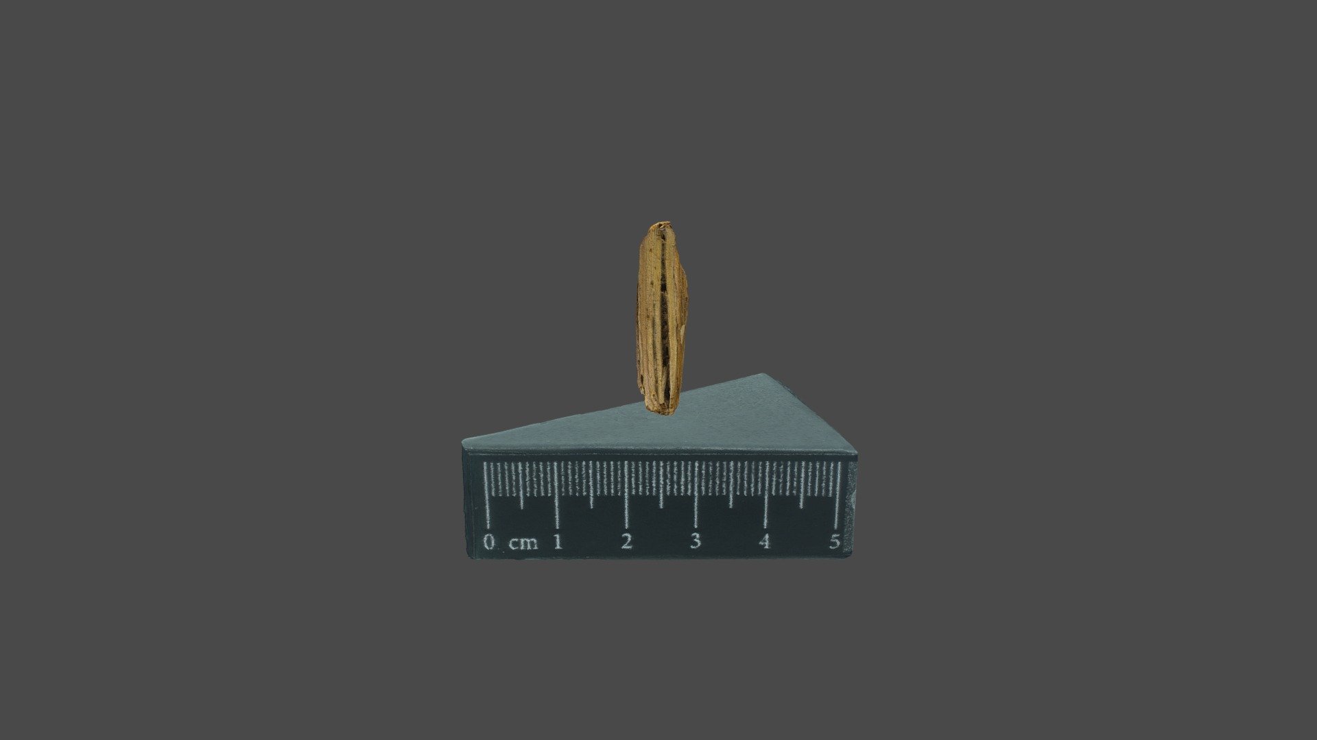 มะหาสะดำ scale bar - Download Free 3D model by 65201101047 [cec4d53 ...