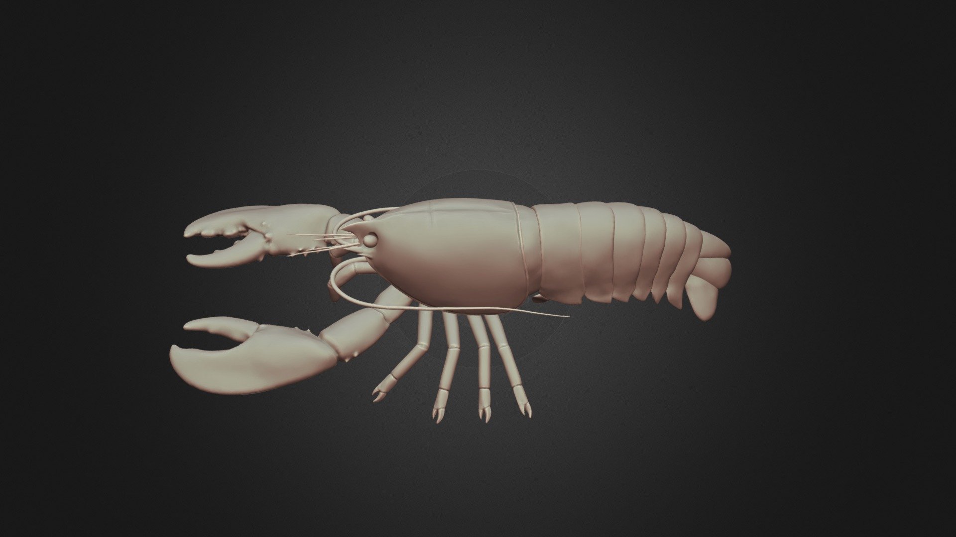 shrimp - 3D model by quang.sjlk [cec94b2] - Sketchfab