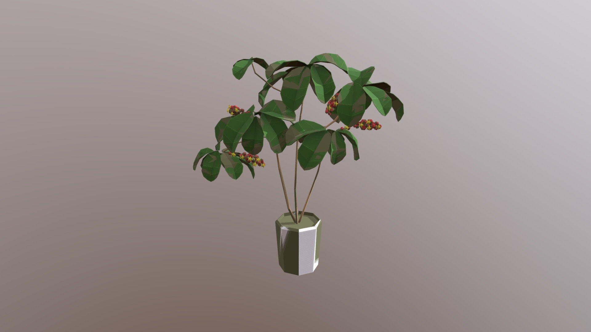 Coffee Plant Sasha An - Download Free 3D model by xan1 [cecd9cf ...