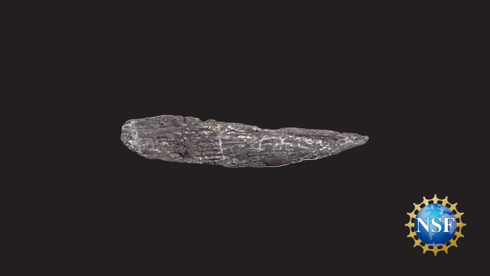 CMNH 8383 Micro Arthrodire Infragnathal - 3D model by Cleveland Museum ...