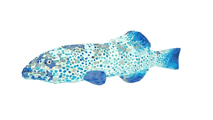 Seaworld 3D models - Sketchfab