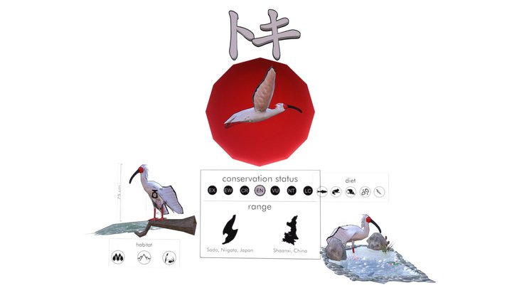 Toki 3D models - Sketchfab