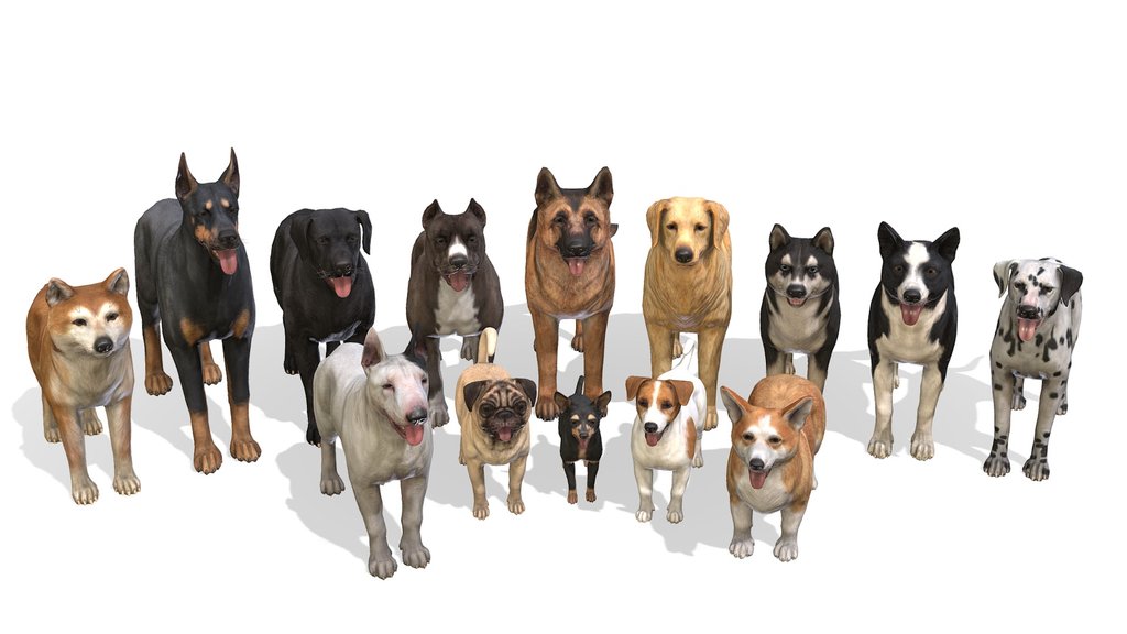 dog - A 3D model collection by punpun19punpun - Sketchfab