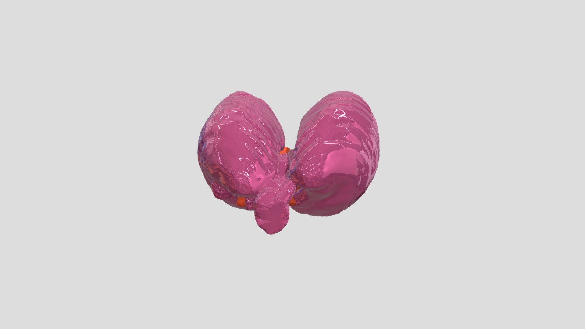 Segmentation - Download Free 3D model by ShailajaD [cef2c5a] - Sketchfab