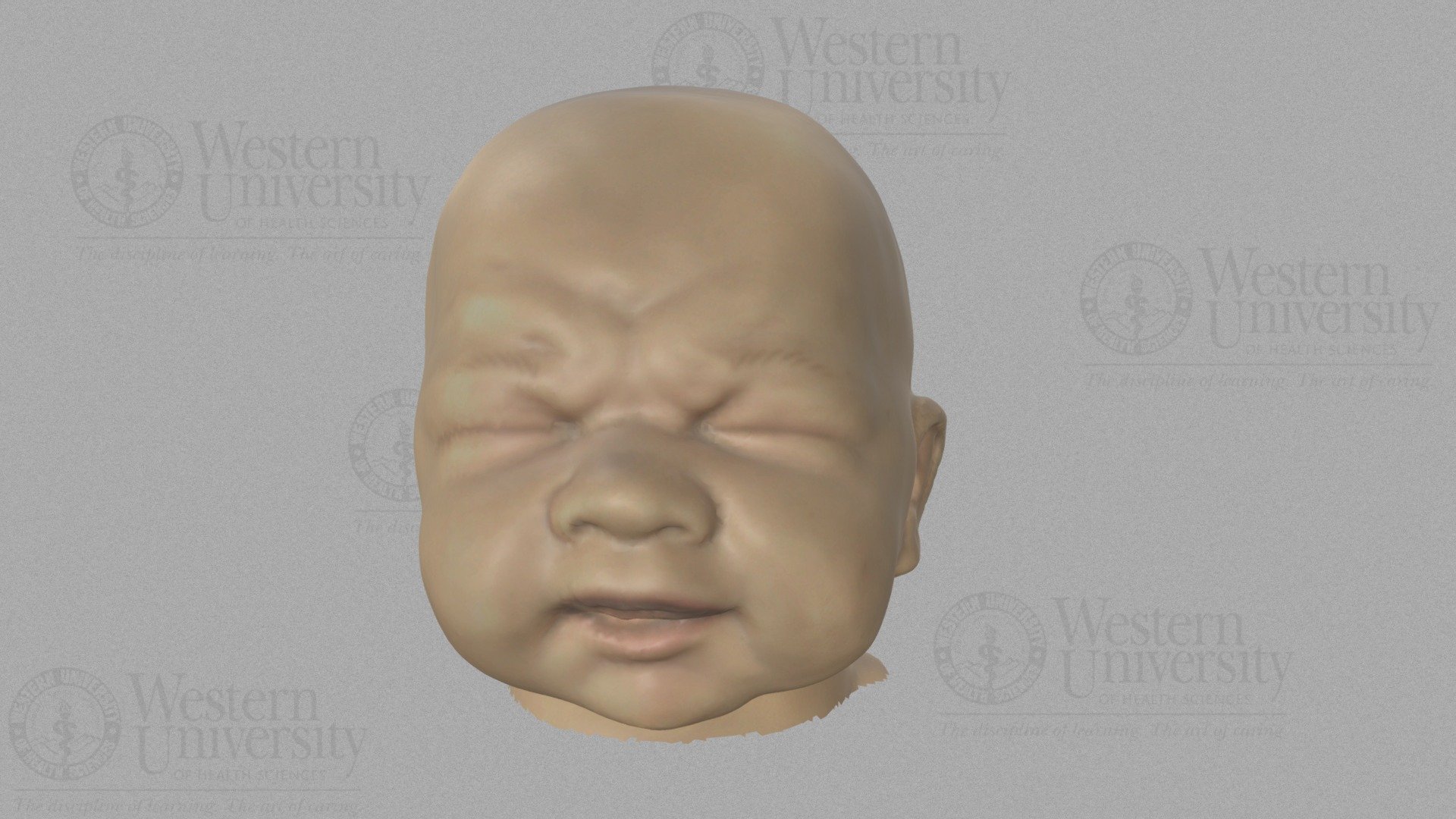 First Breath- Baby 2 - 3D model by WesternU3D [cef6511] - Sketchfab