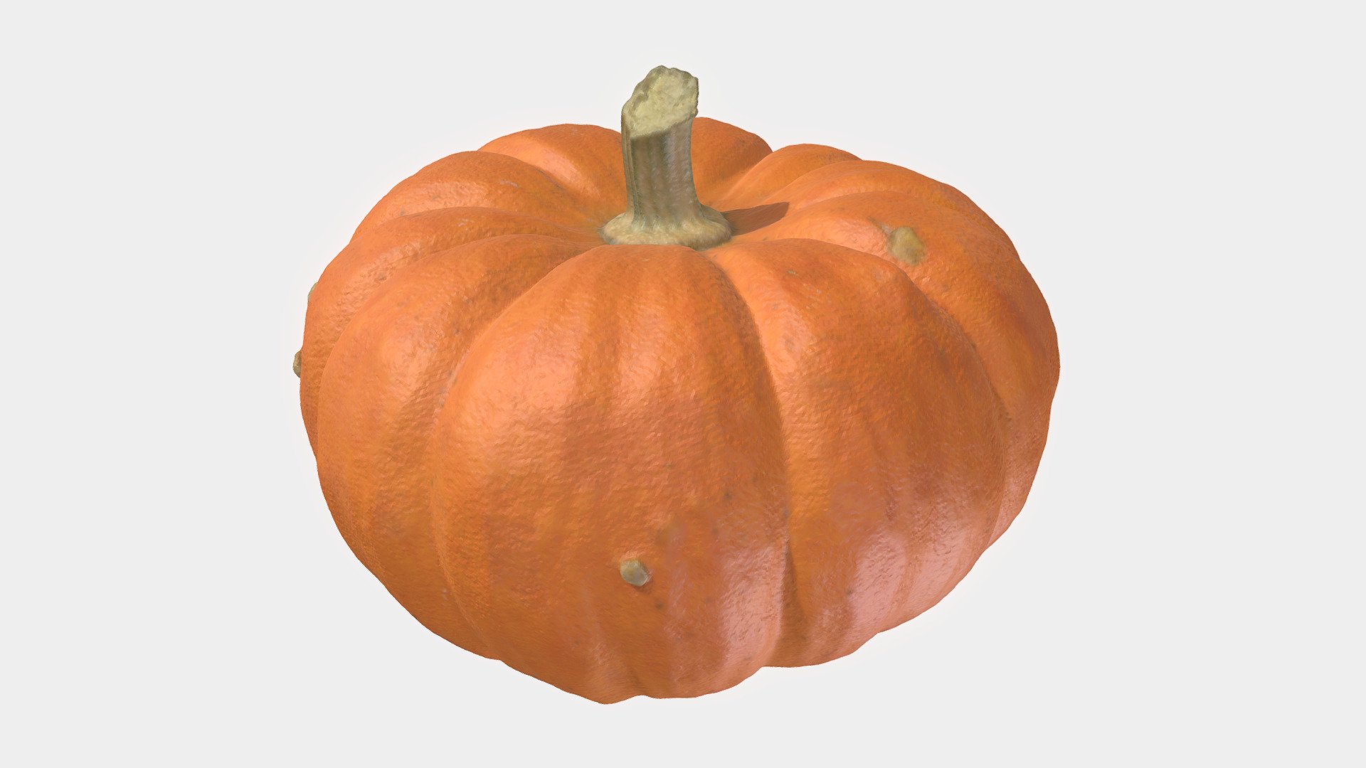 High Poly Pumpkin 3D Scan - Download Free 3D model by Arkify 3D ...