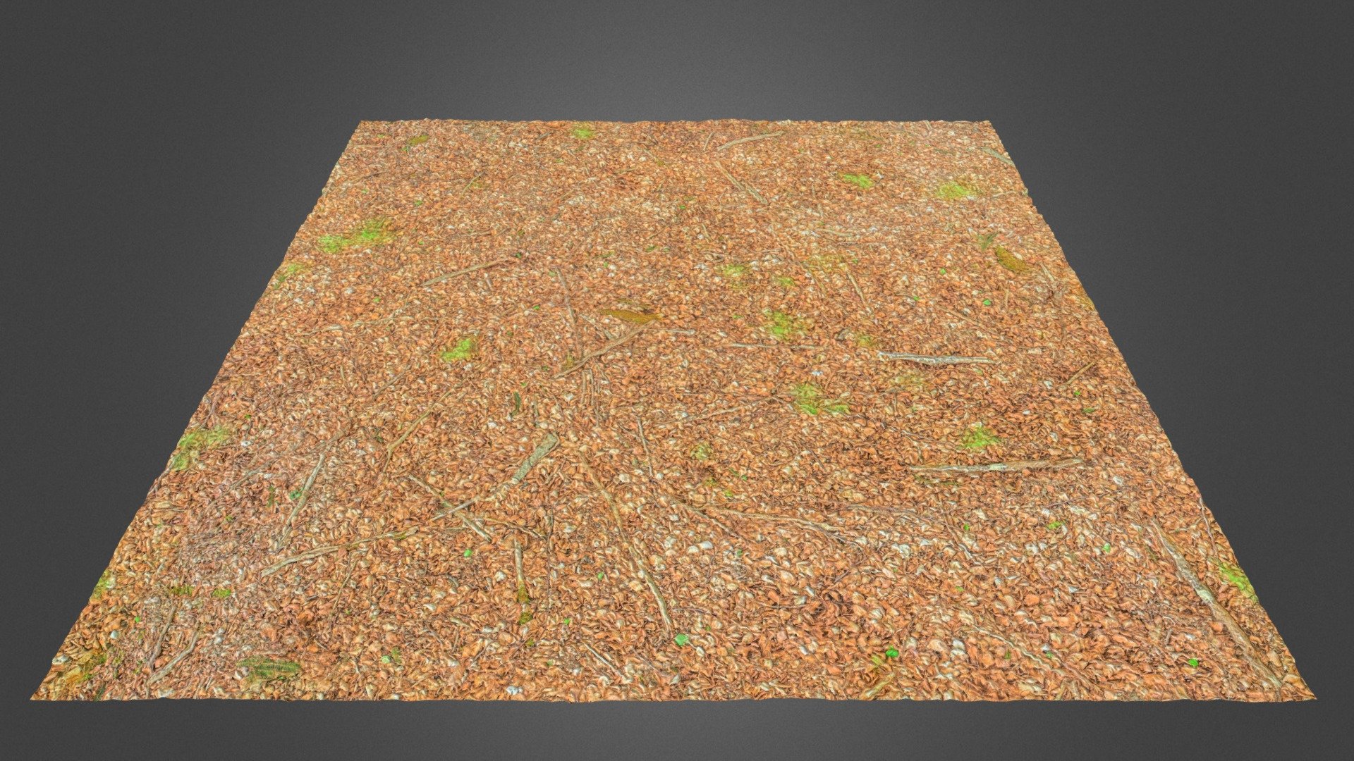 Forest Ground X - 3D model by ProjectNature [cef8d3f] - Sketchfab