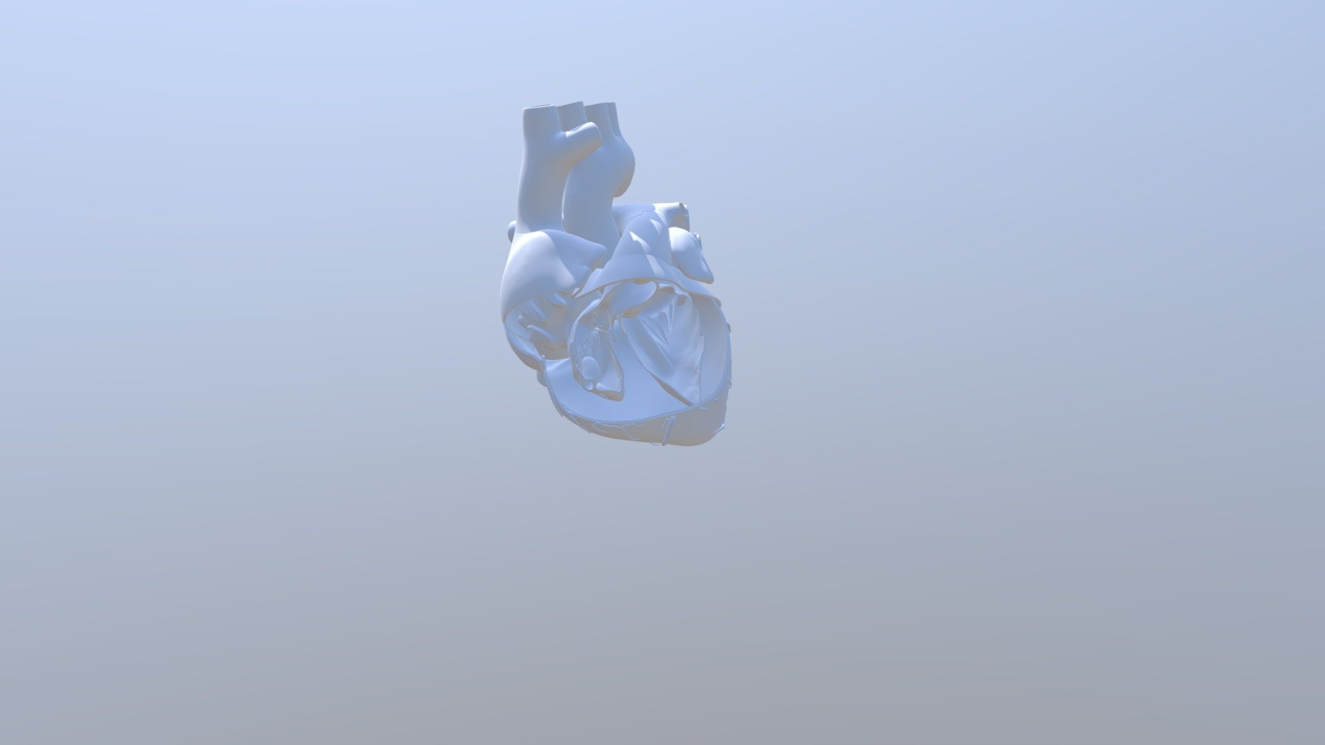 Heart - Download Free 3D model by elkhatib.samir.1 [cefa0a1] - Sketchfab
