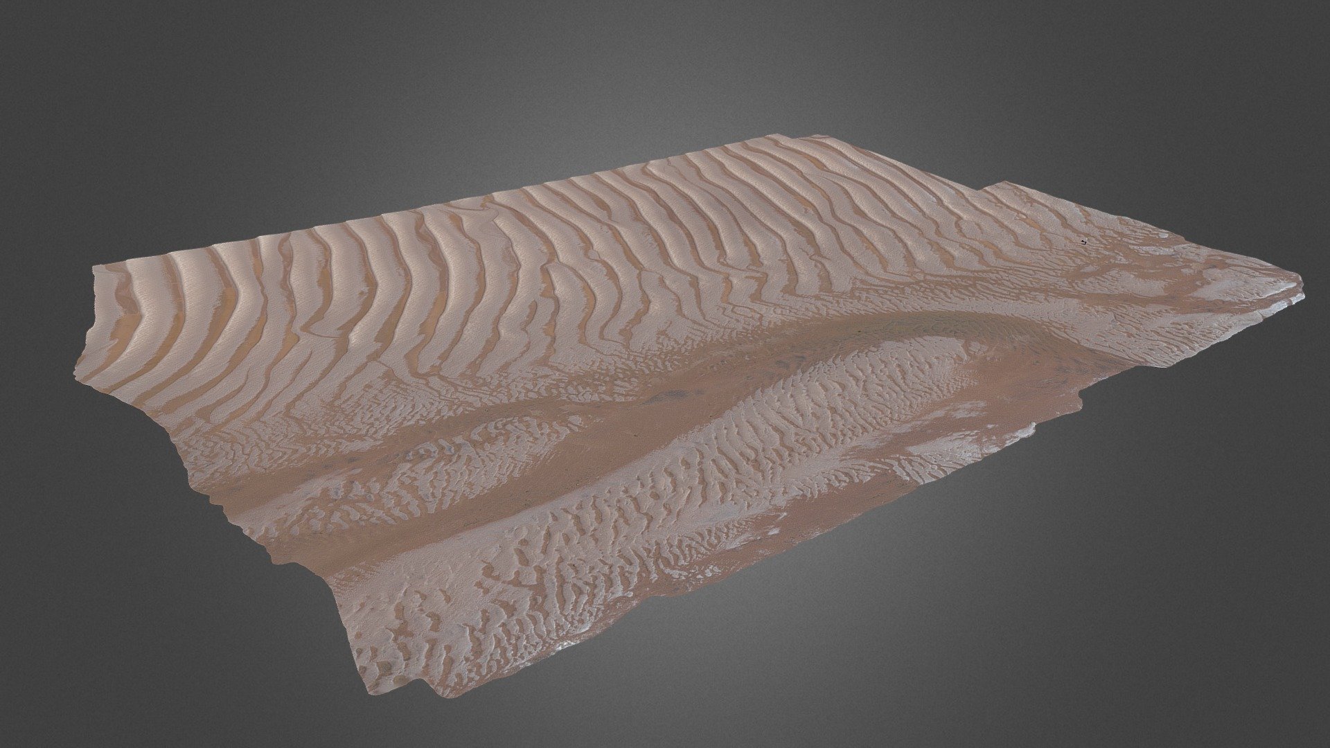 Bay of Fundy tidal flat (Rainy Cove, NS) - Download Free 3D model by ...