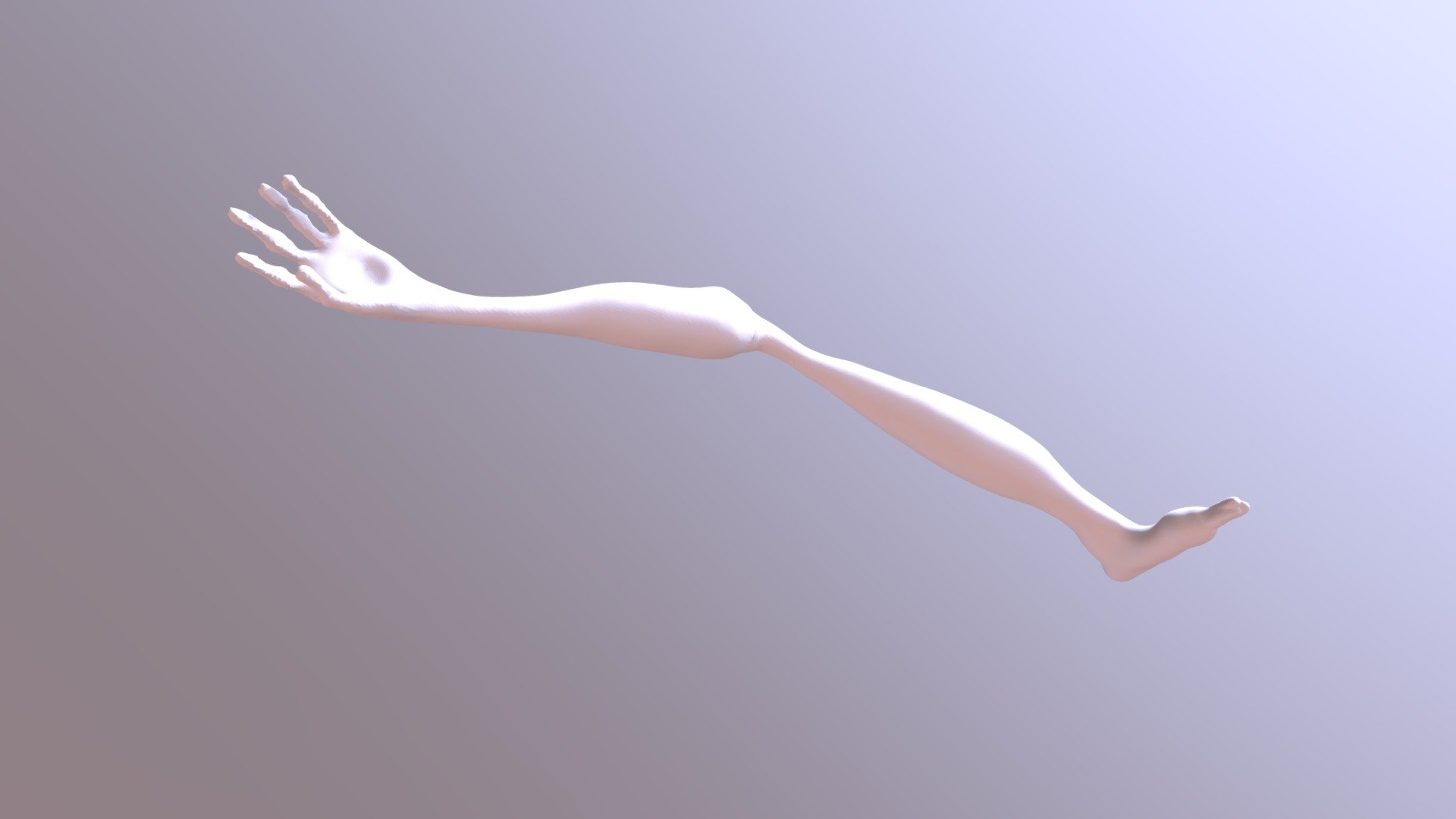 Left Arm-02 - 3D model by Evan Pachon (@Evanpachon) [cf06c53] - Sketchfab