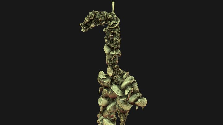 Z3d 3D models - Sketchfab