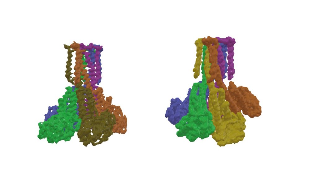 EMDB › EMD-6552 - 3D model by Interactive 3D Data (@proteinsimulation ...