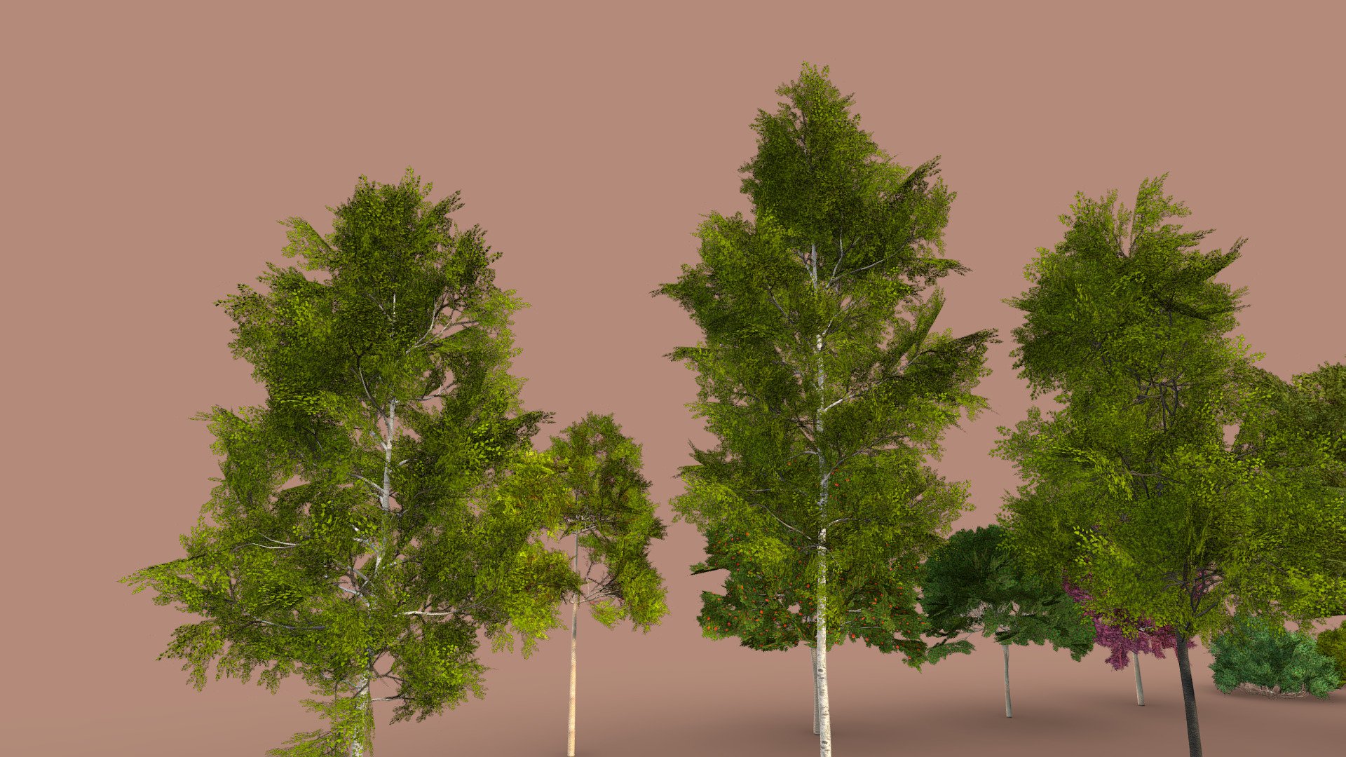 Various Forest Assets Pack - Download Free 3D model by Dari (@dariiiii ...